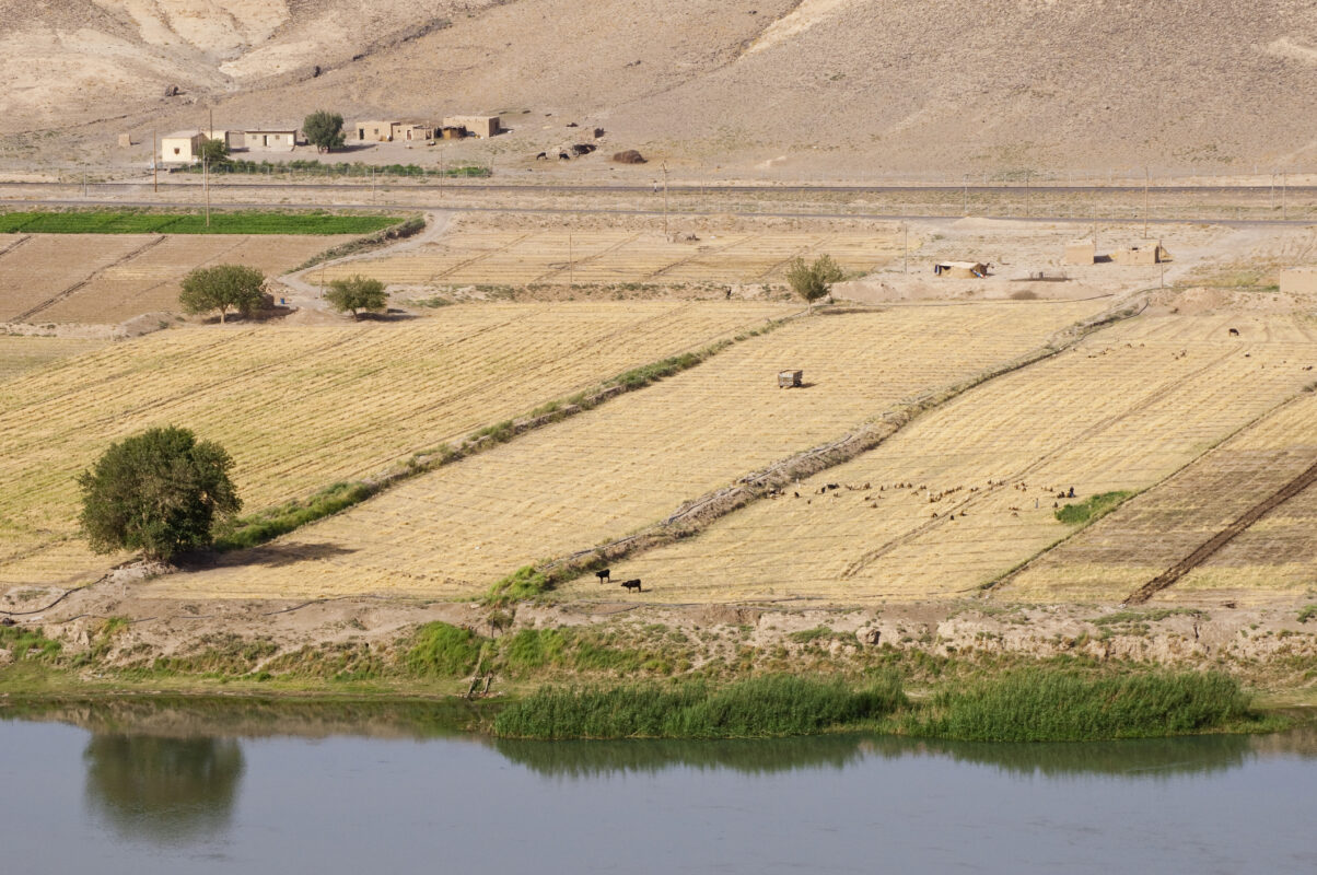 Syria – Agriculture and Livelihoods Stabilization Partnerships III ...