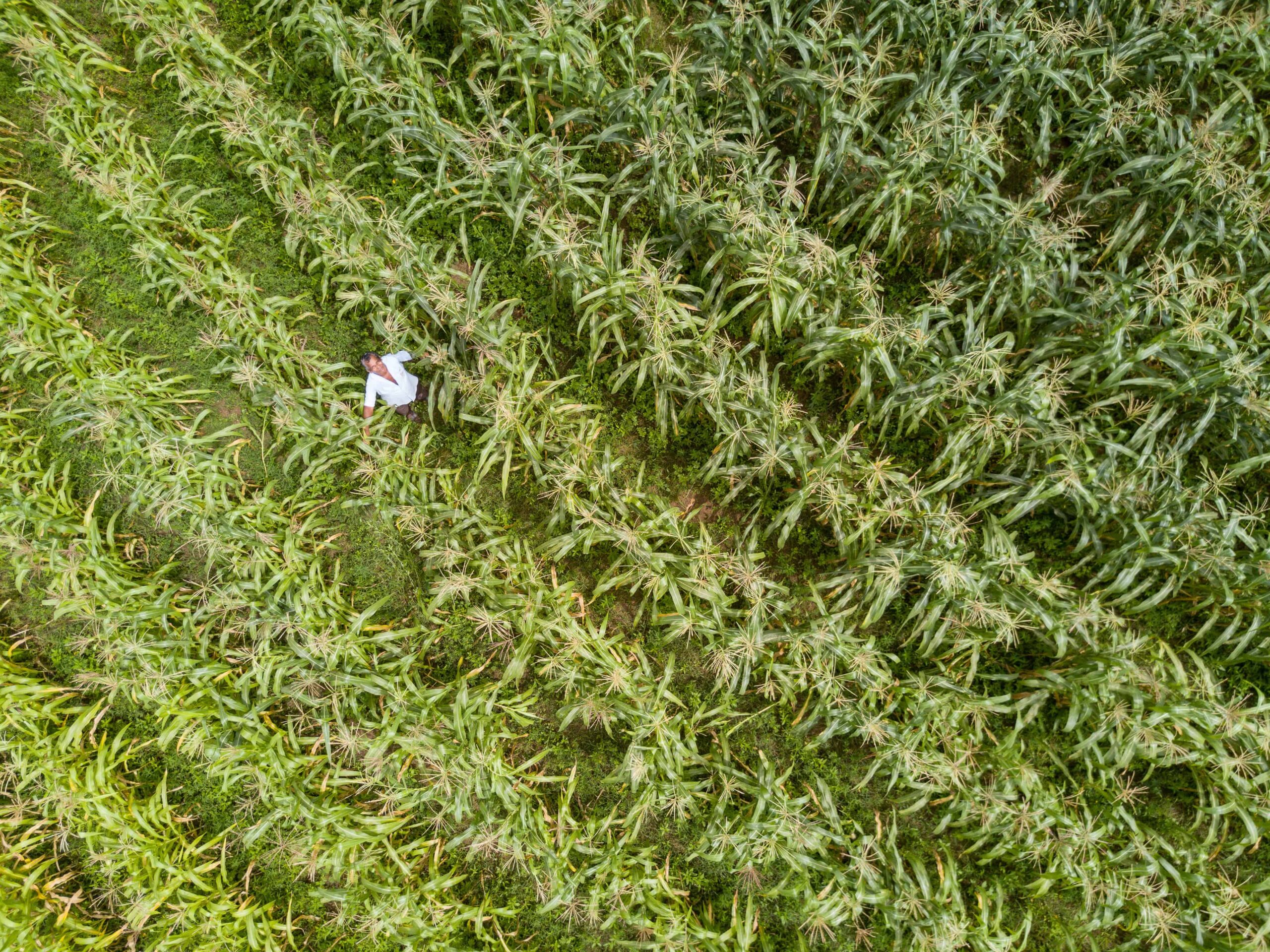 Understanding the Dry Corridor’s challenges is key to supporting ...