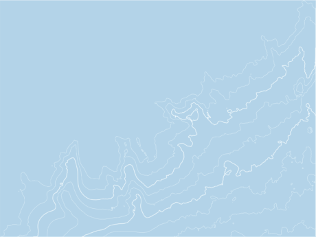 Creative Associates International | Grounded in experience. Driven by ...