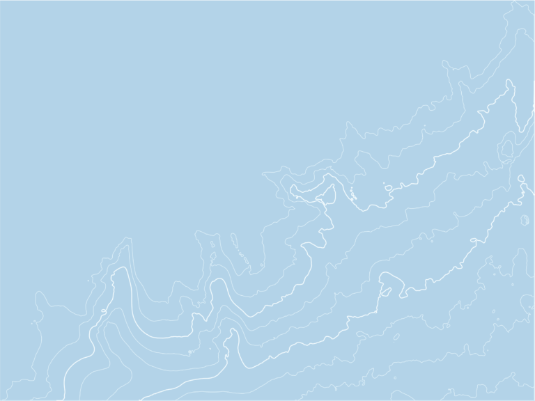 Creative Associates International | Grounded in experience. Driven by ...