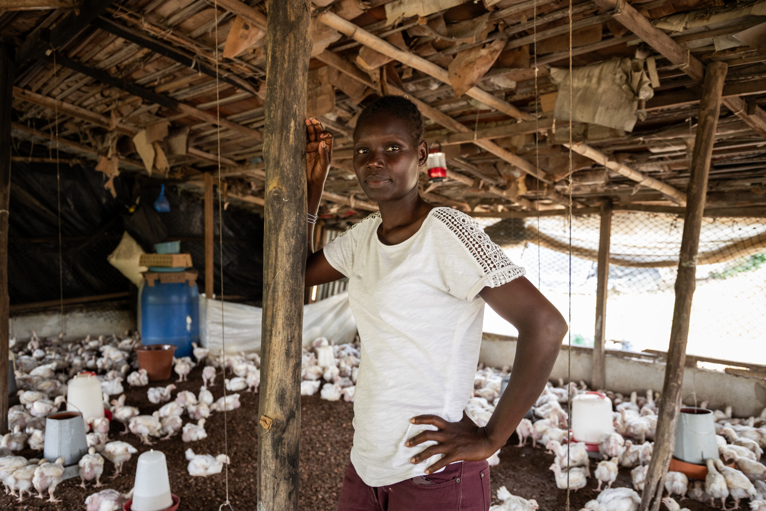 Grains of Hope: A new feed mill improves the lives of producers in Côte d’Ivoire | Creative ...